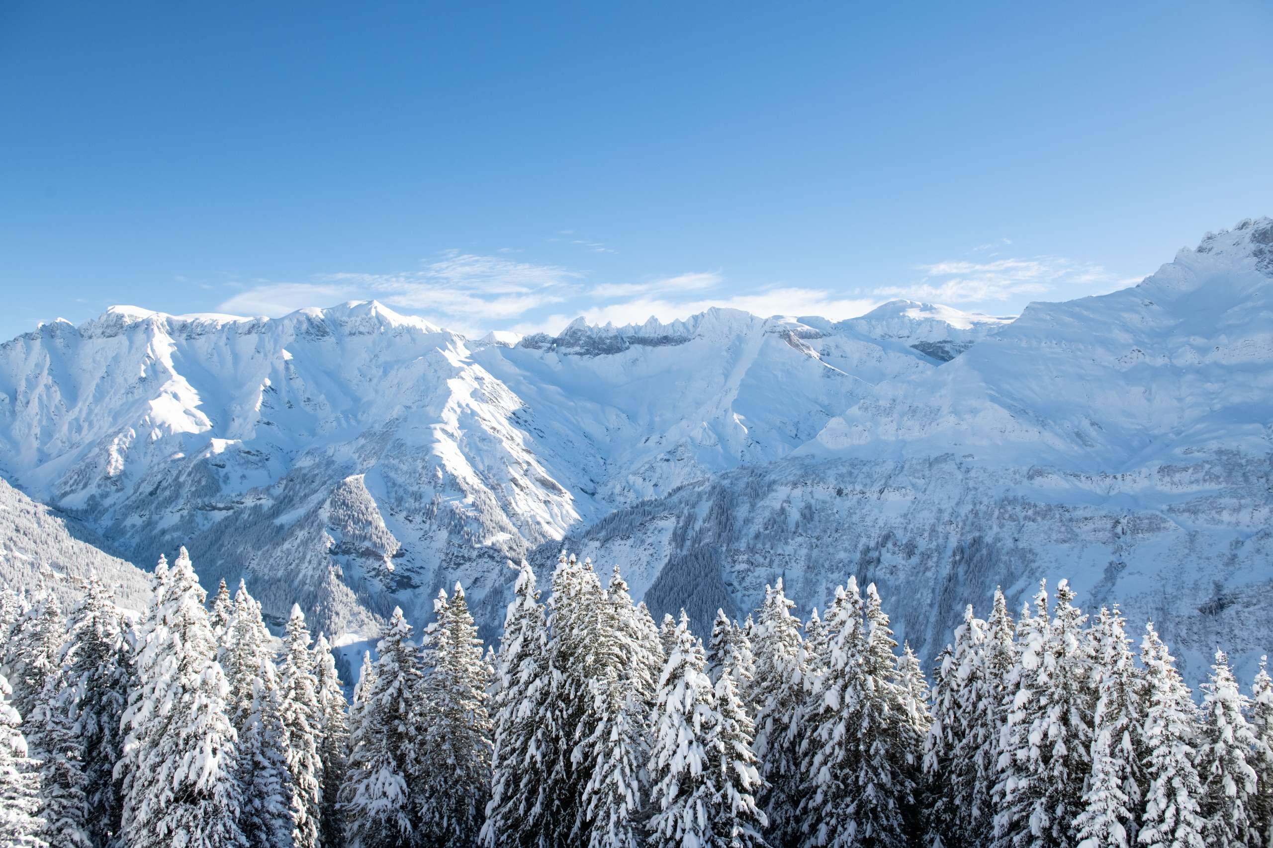 Demoteam Elm - skischule-elm.ch - DE